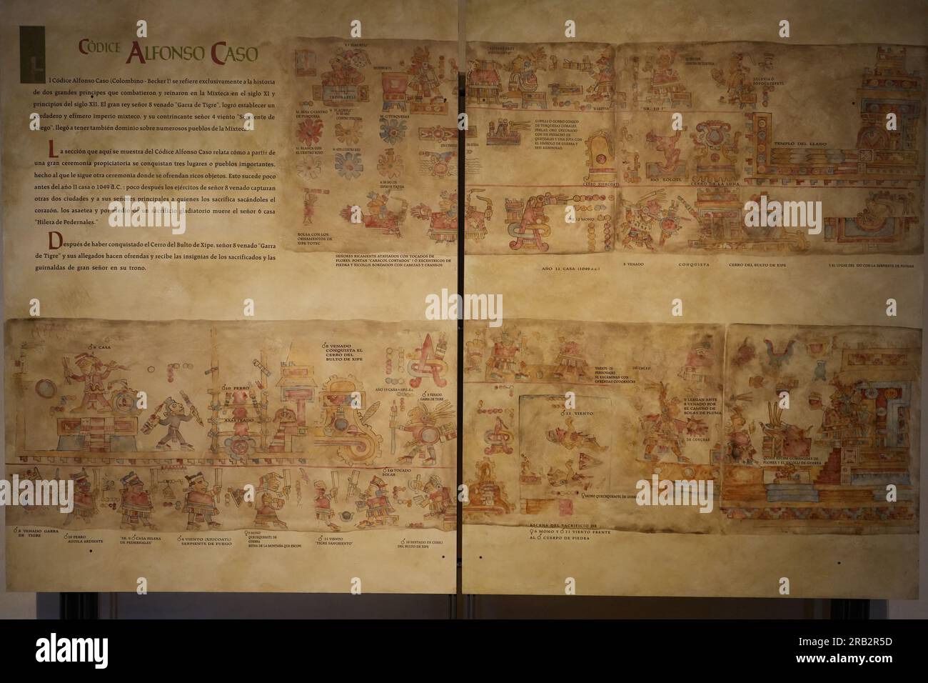 Images of Alfonso Caso Codex, the life of 8 Venado, Cultures Museum ...