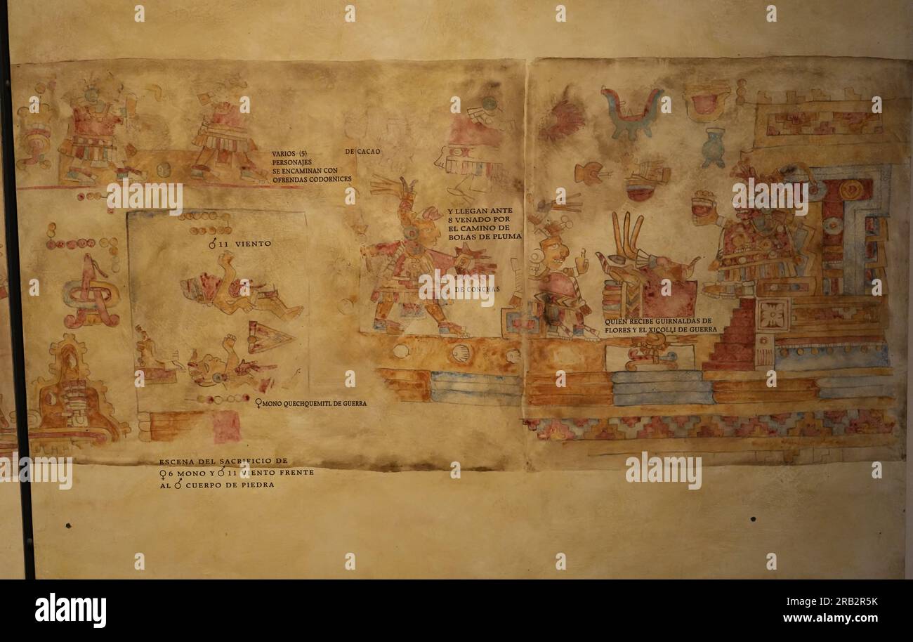 Images of Alfonso Caso Codex, the life of 8 Venado, Cultures Museum ...