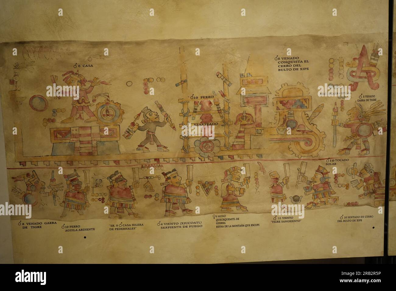 Images of Alfonso Caso Codex, the life of 8 Venado, Cultures Museum ...