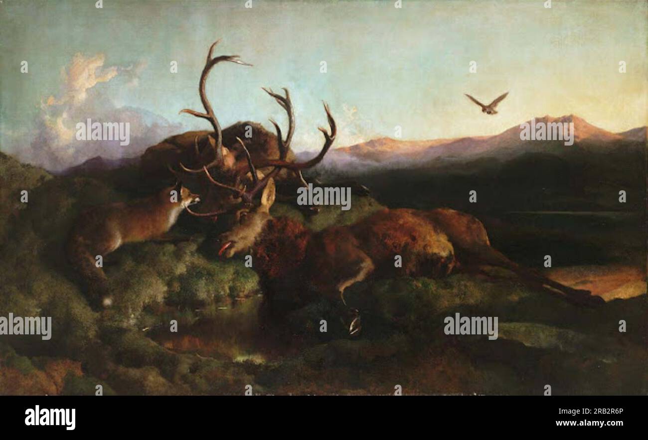Two dead stags hi-res stock photography and images - Alamy