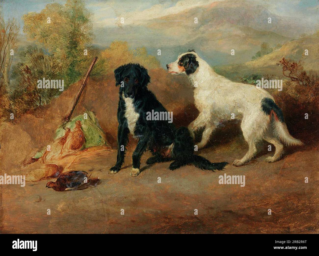 Mr stotts favourite dogs hi-res stock photography and images - Alamy