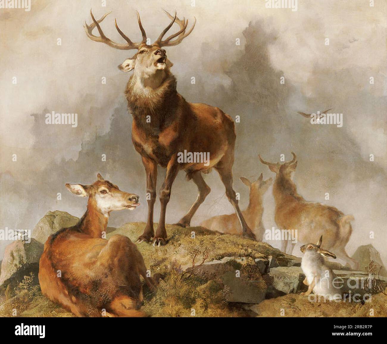 Scene in Braemar Highland Deer by Edwin Henry Landseer Stock Photo - Alamy