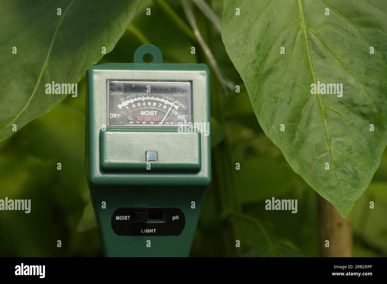Green plants and three way meter PH, light and moisture in the soil ...