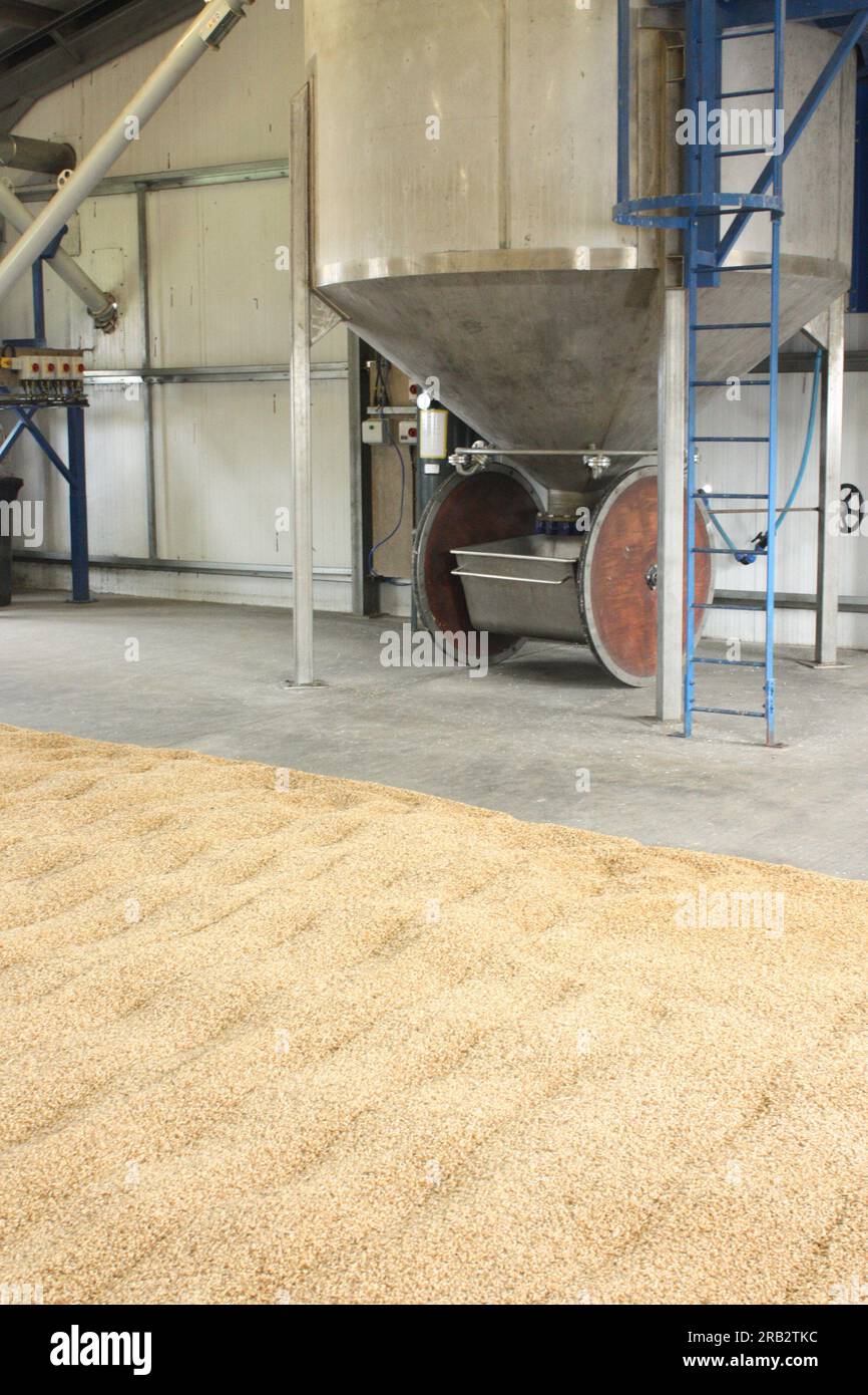 The malting floor at the Kilchoman Distillery on Islay Stock Photo - Alamy