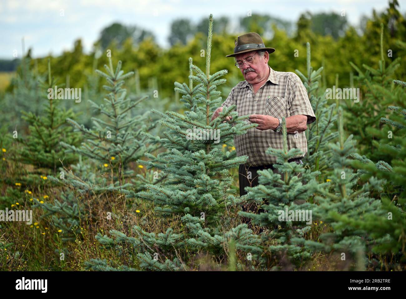 Nursery operations hi-res stock photography and images - Alamy