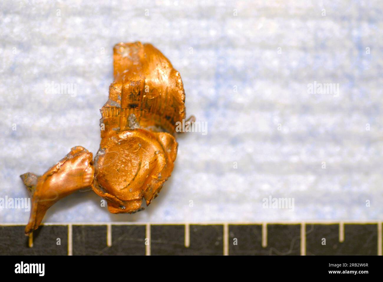Crime scene ruler hi-res stock photography and images - Alamy