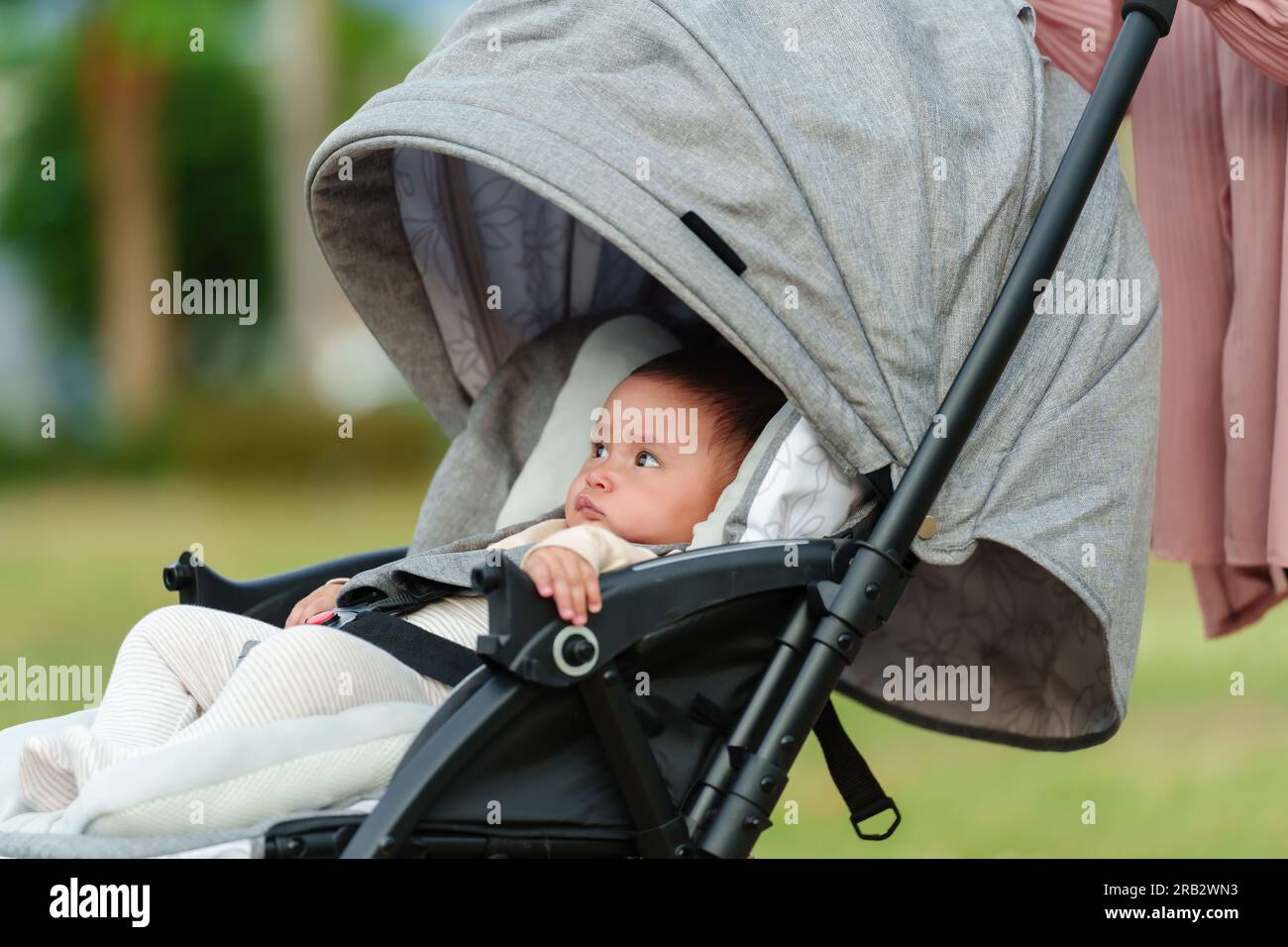 Kid stroller park hi-res stock photography and images - Alamy