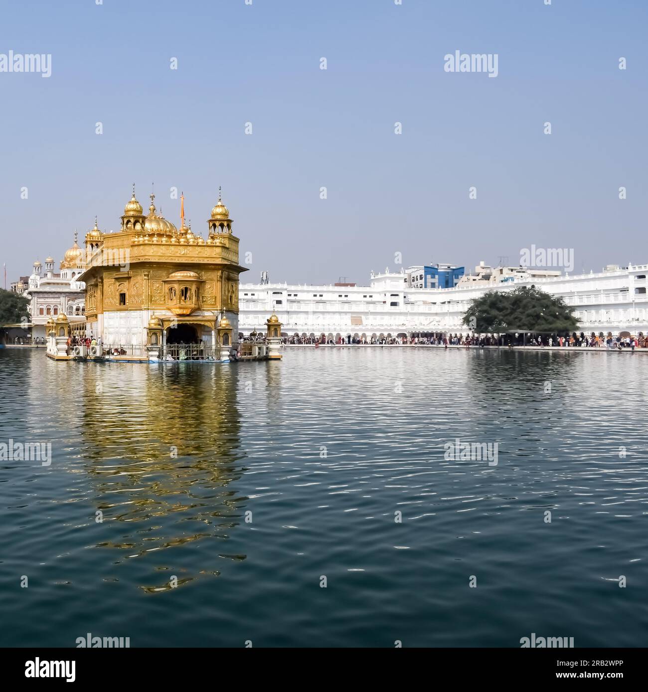 Beautiful view of Golden Temple (Harmandir Sahib) in Amritsar, Punjab ...