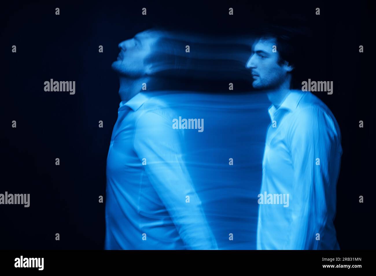 Rachel Specter Wallpaper