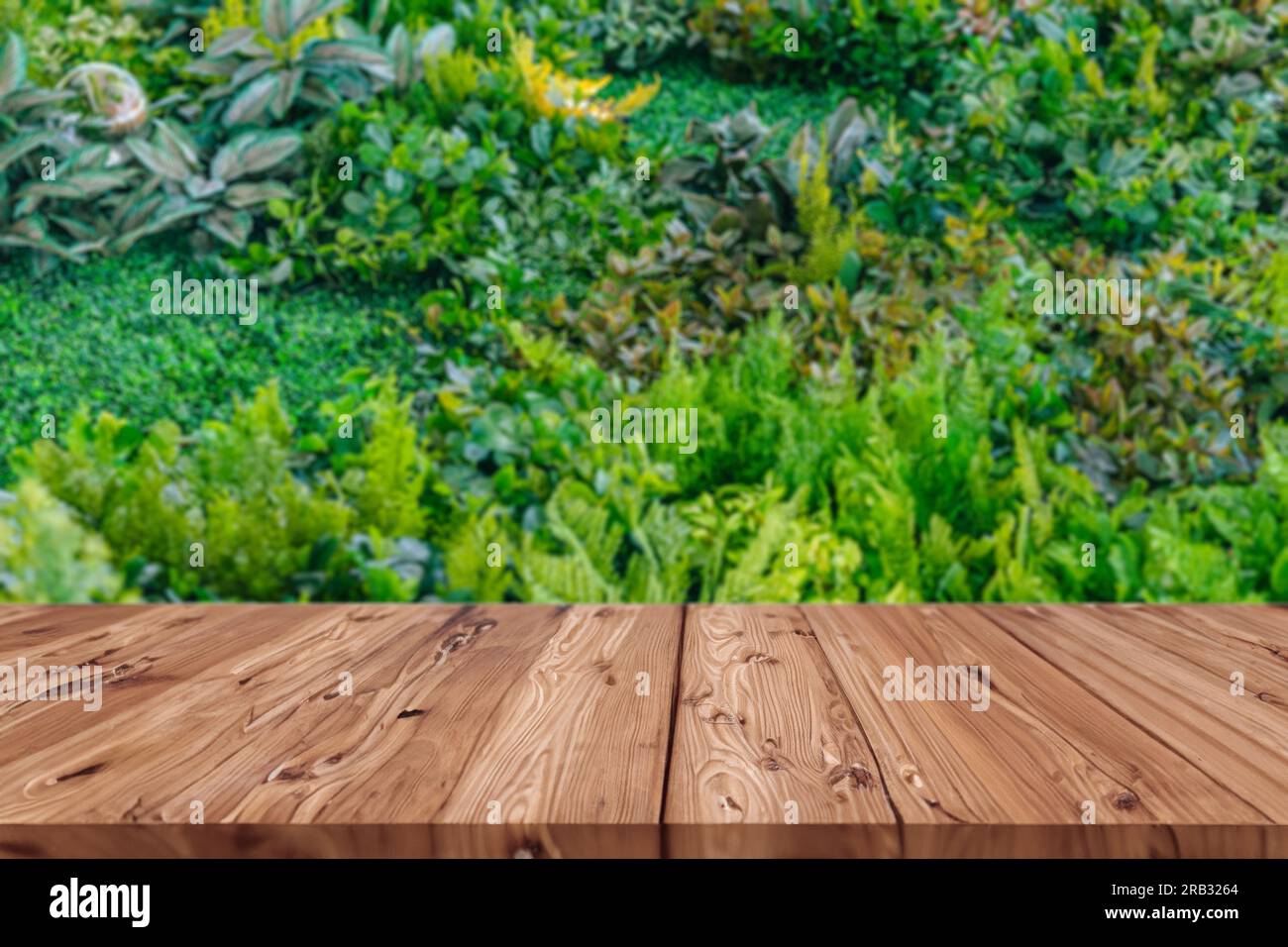 Green plant foliage mix garden fresh ecology with blacnk wood floor ...
