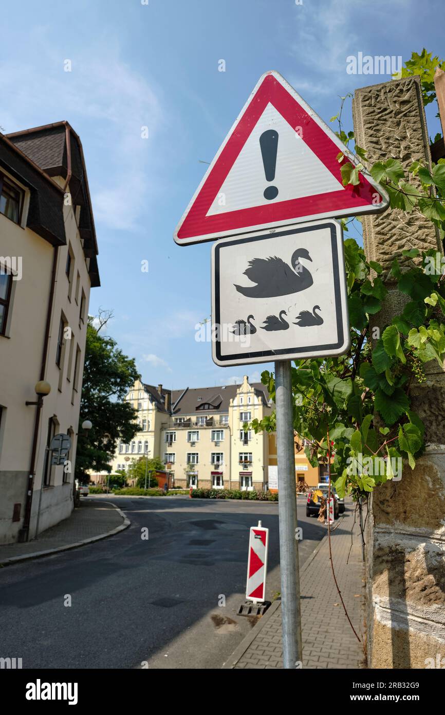 Traffic sign attention swans with exclamation mark in red triangle ...