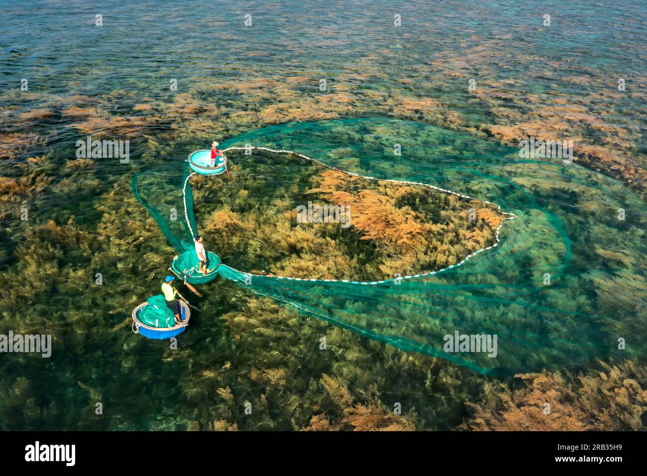 Fishermen cast nets to catch fish in the golden seaweed season in Nhon ...