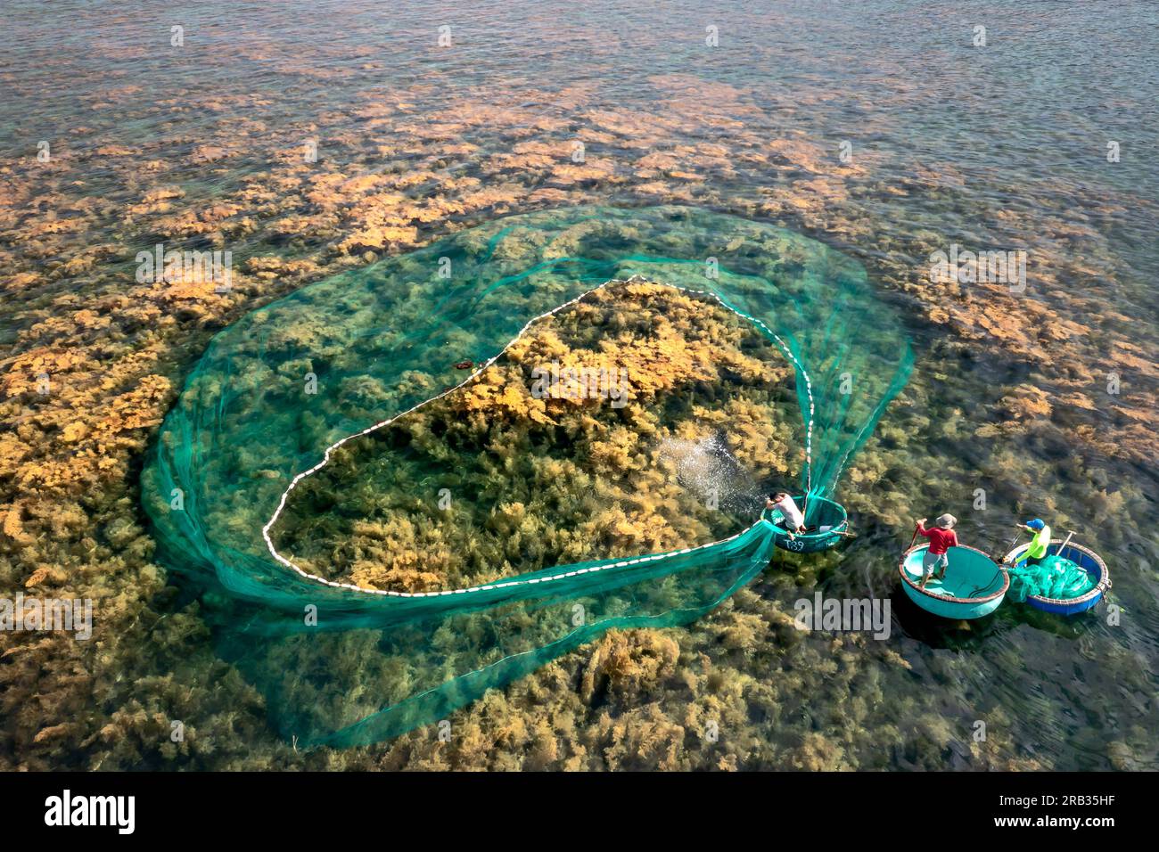 Fishermen cast nets to catch fish in the golden seaweed season in Nhon ...