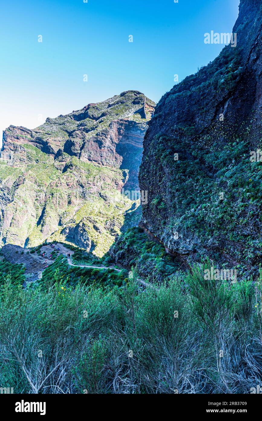 Pico Ruivo - highest hill of Madeira island - view from Vereda do ...