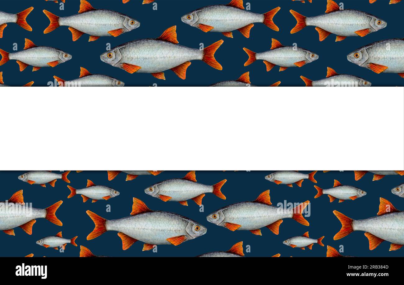 Watercolor drawing banner from fish with red fins on black background ...