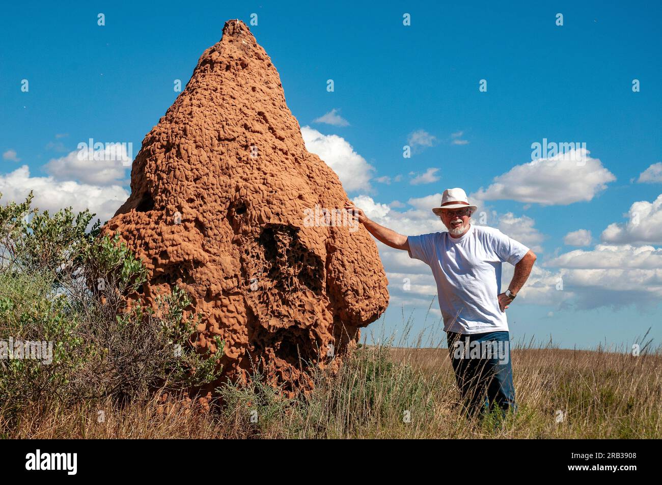 Man standing beside Termites nests in outback Western Australia Stock ...