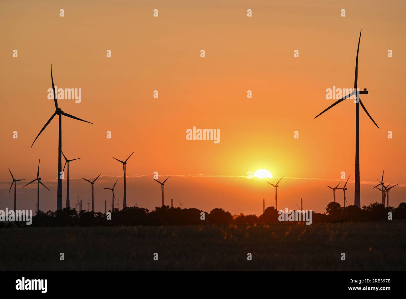 Carzig, Germany. 05th July, 2023. A wind farm in the sunset. According ...