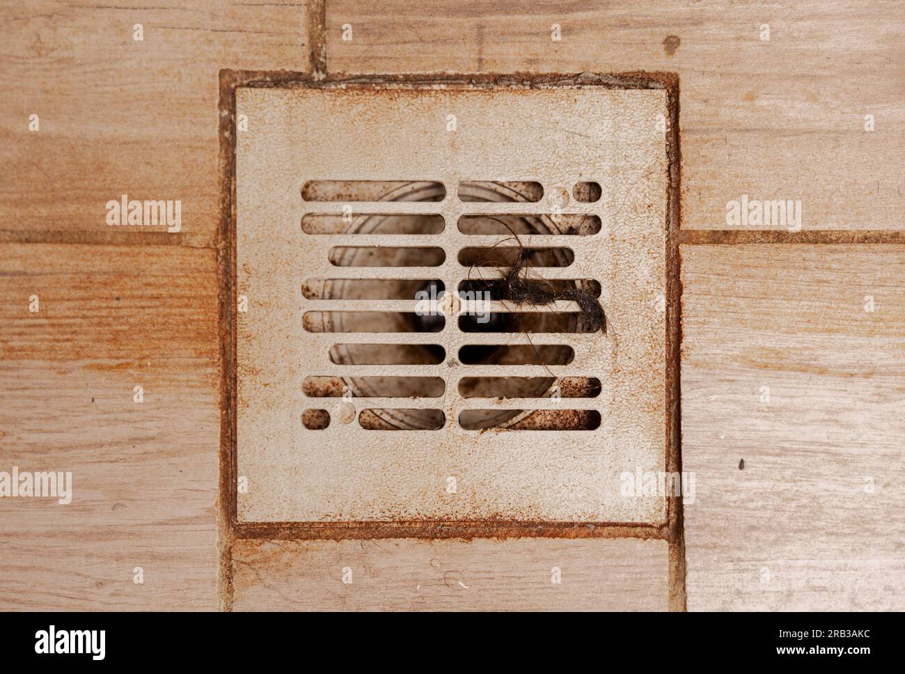 Dirty and disgusting shower drain, close up view. Clogged drain with rust stain, hair. Corrosion ...