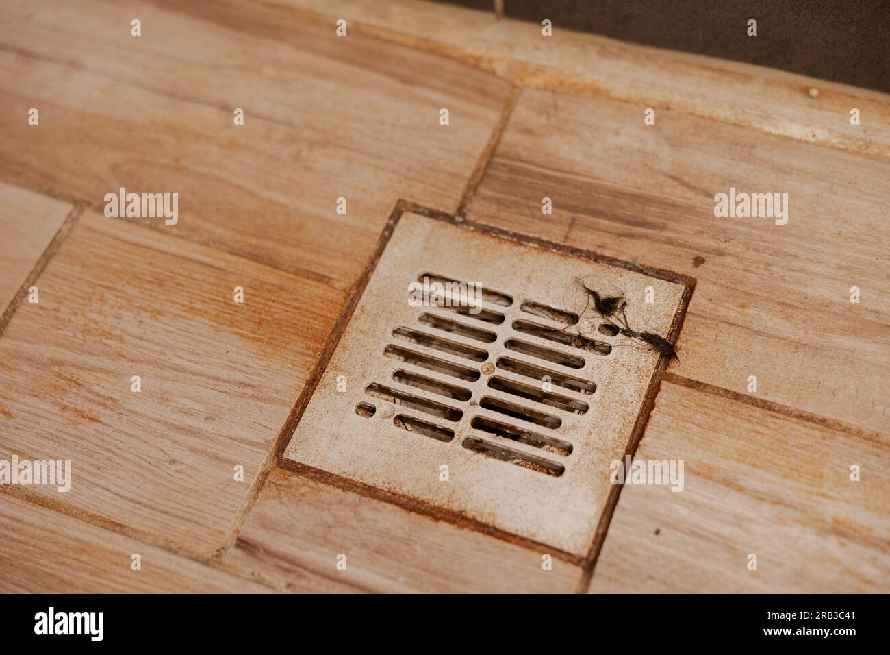 Dirty and disgusting shower drain, close up view. Clogged drain with ...