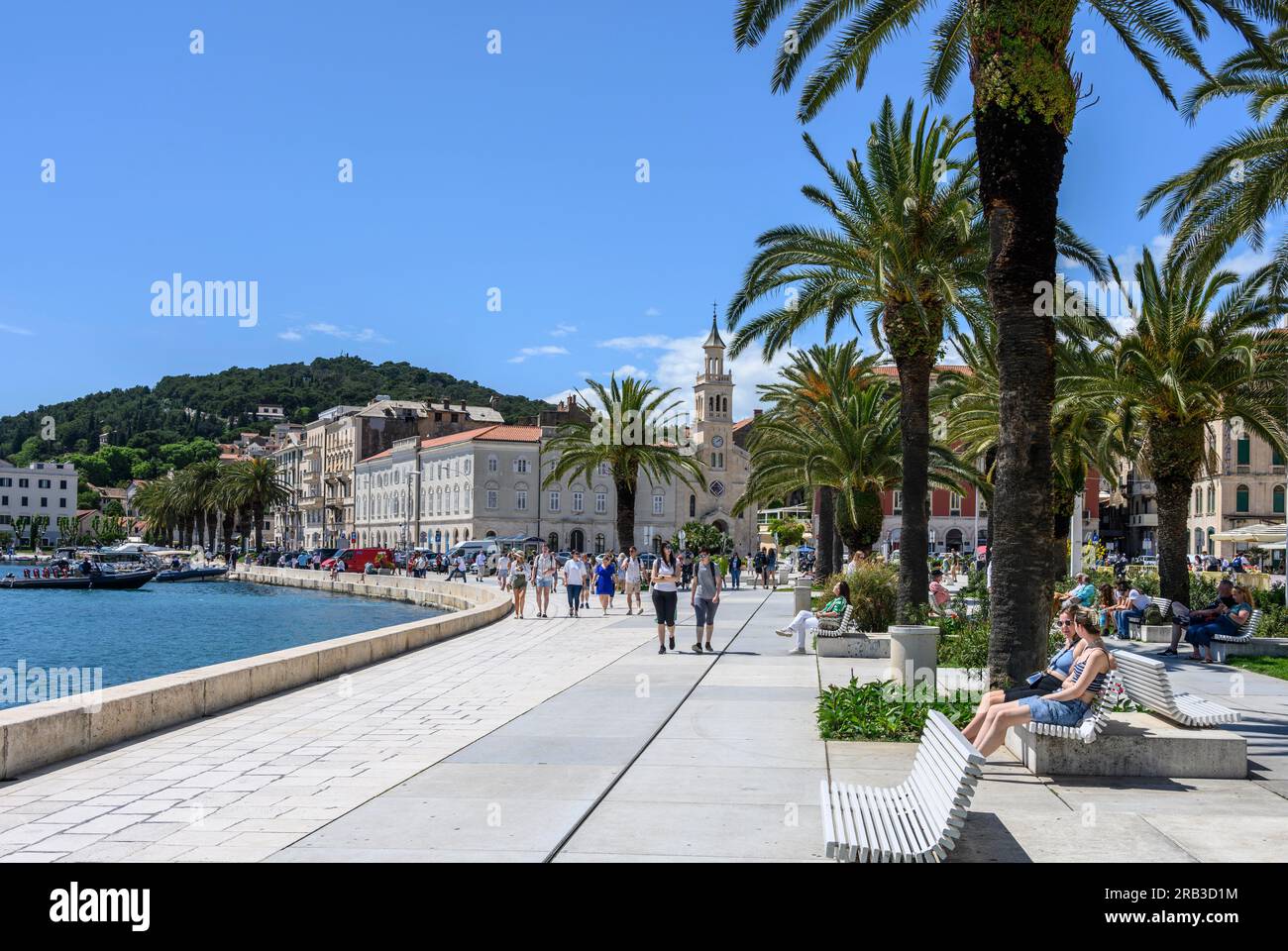 Palm trees waterfront riva promenade hi-res stock photography and ...