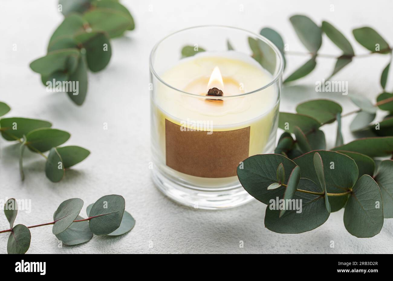 Eucalyptus leaves candle hi-res stock photography and images - Alamy
