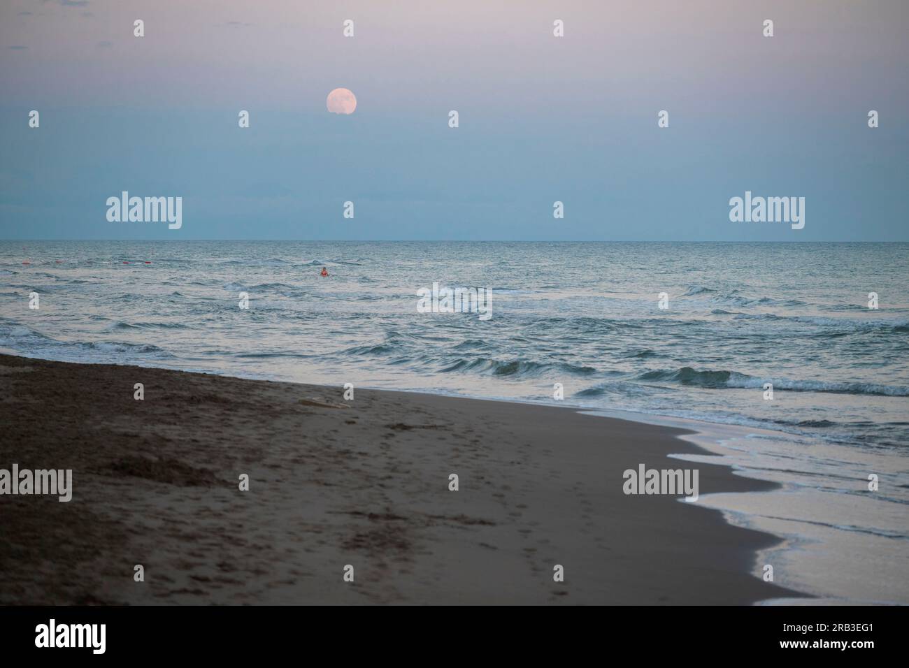 Swimming in the sea under the moonlight along the sandy beach Stock ...