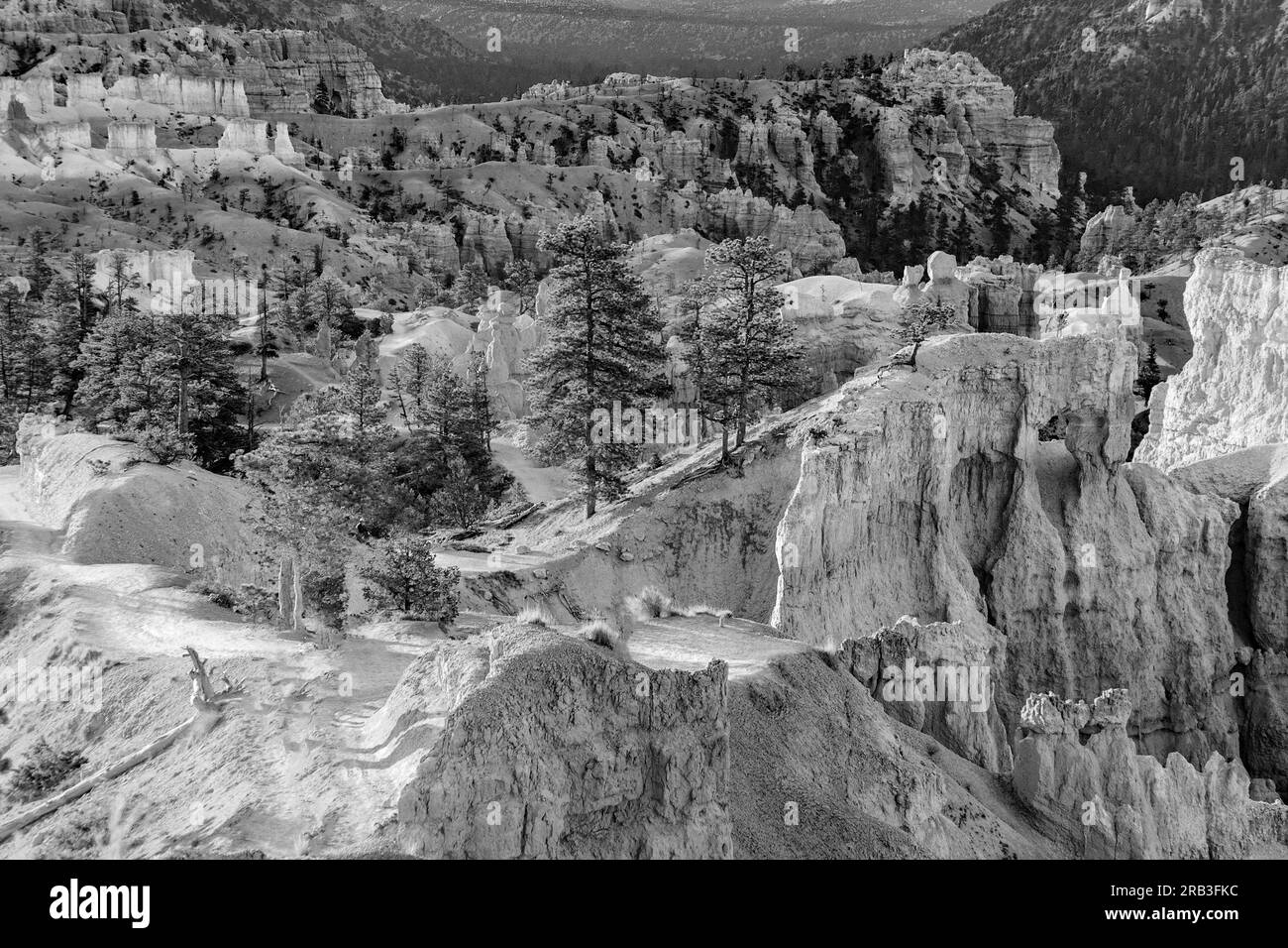 beautiful landscape in Bryce Canyon with magnificent Stone formation ...