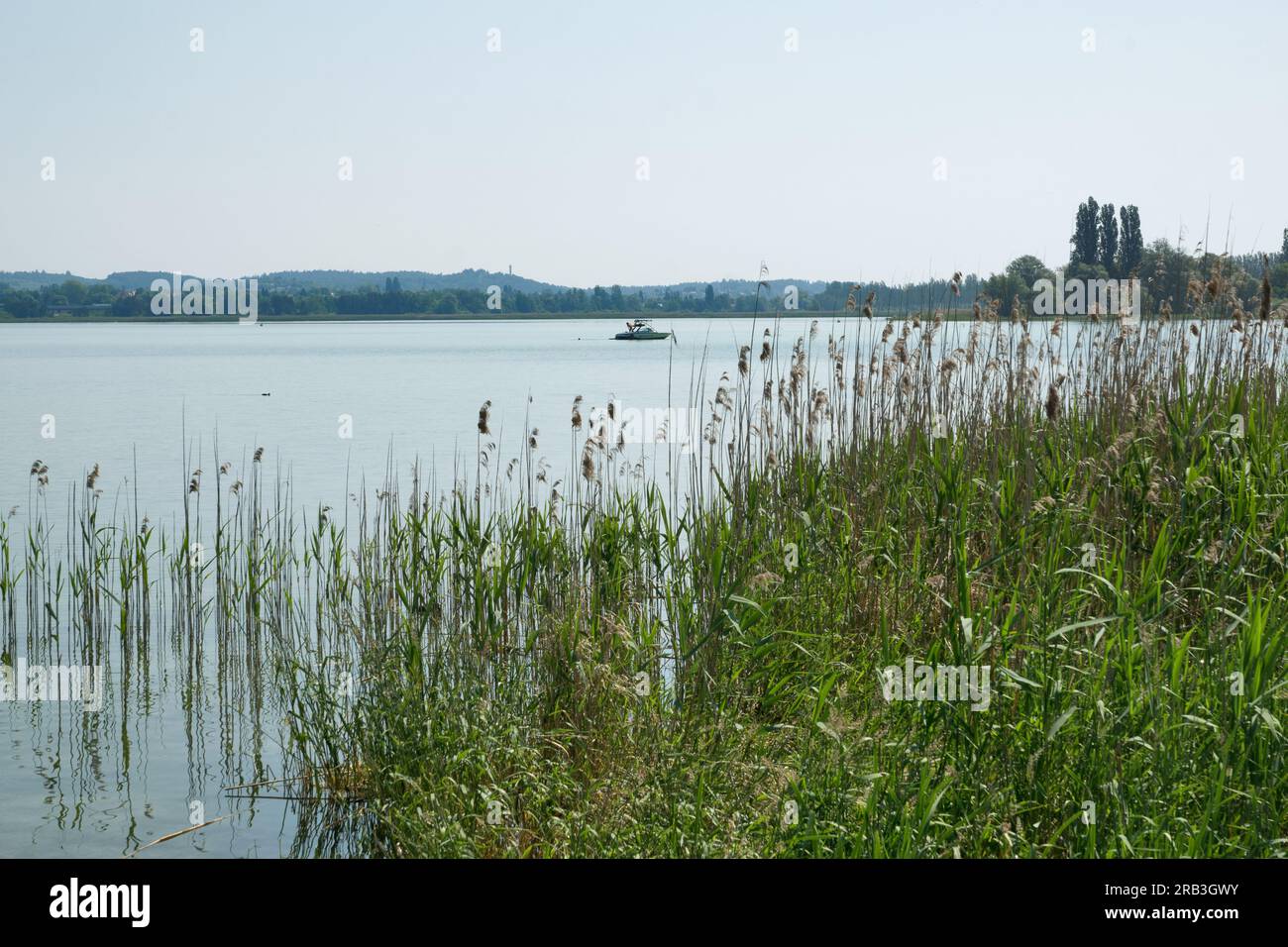 Reichenau island lake constance hi-res stock photography and images - Alamy