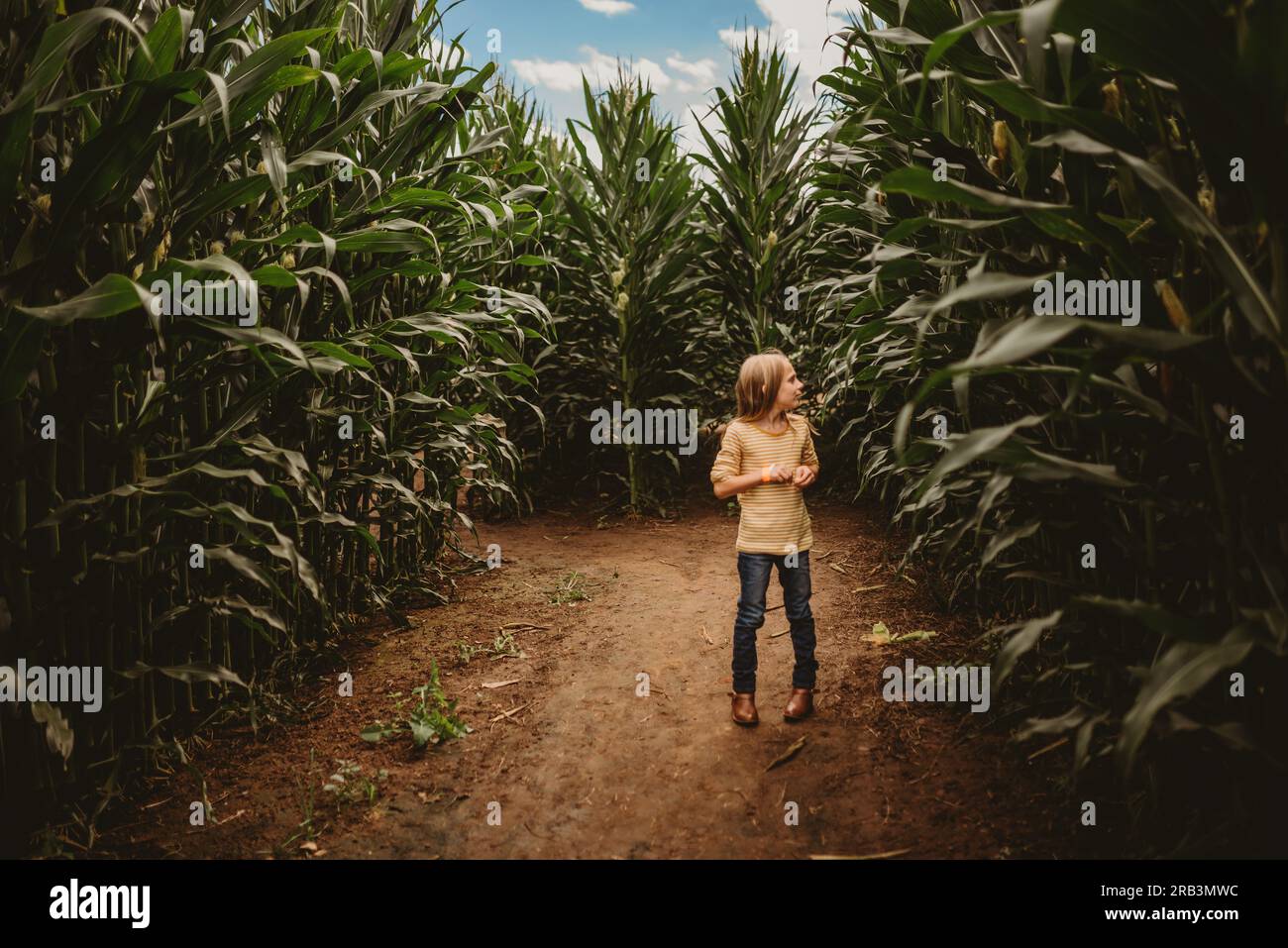 Girl standing in Corn Field Stock Photo - Alamy
