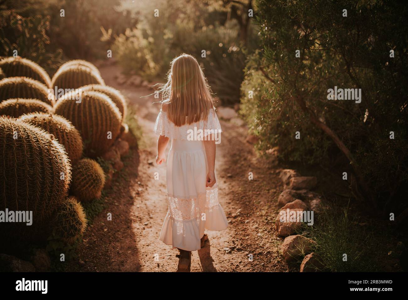 Girl walking through cactus into the sun Stock Photo - Alamy