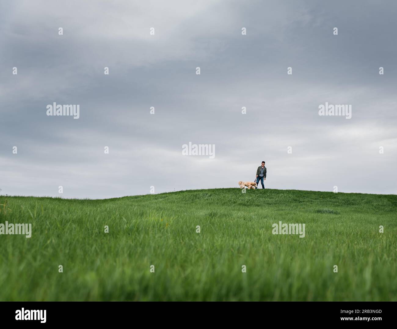 Boy and his dog standing far away on a grass hill on a cloudy day Stock ...