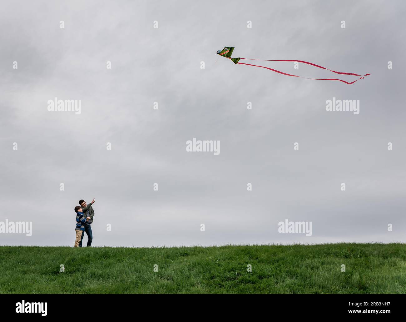 Two brothers flying a kite together on a grassy hill on a cloudy day ...