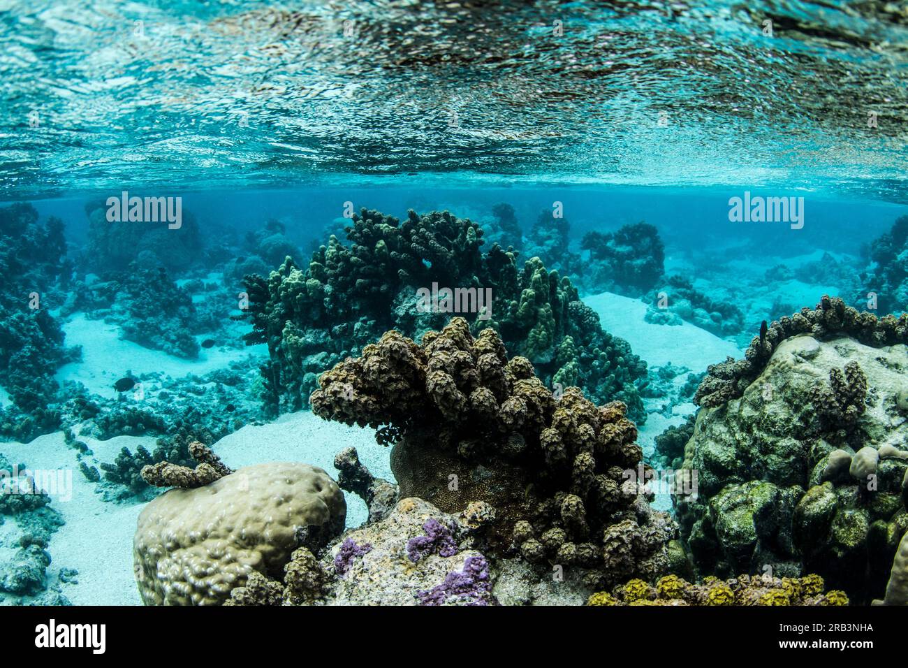 Blue crystal waters hi-res stock photography and images - Alamy