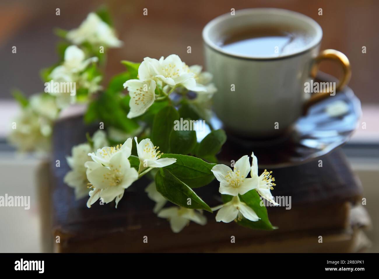 Jasmine box hi-res stock photography and images - Alamy