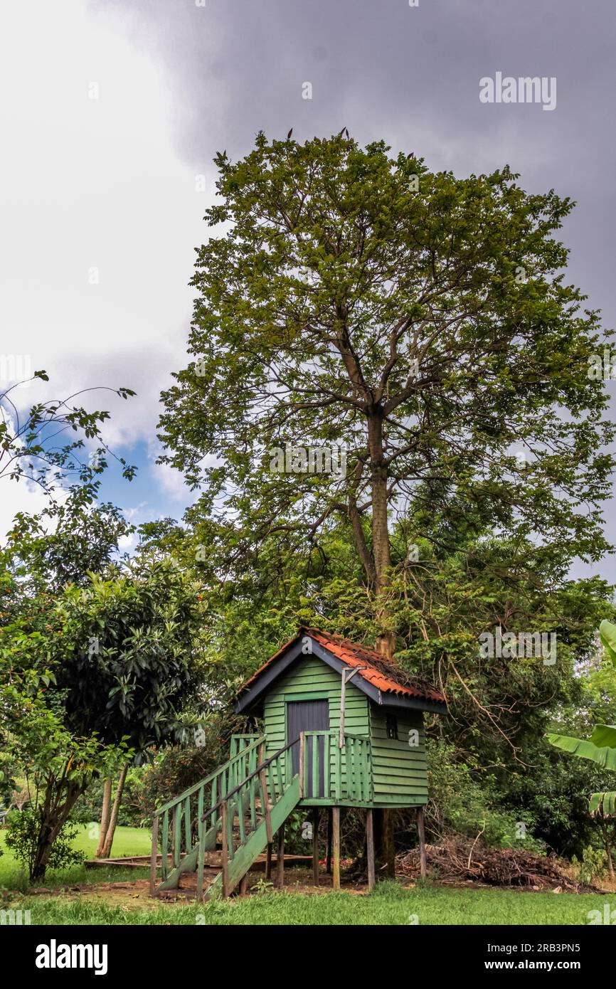 Small scale farm kenya hi-res stock photography and images - Alamy