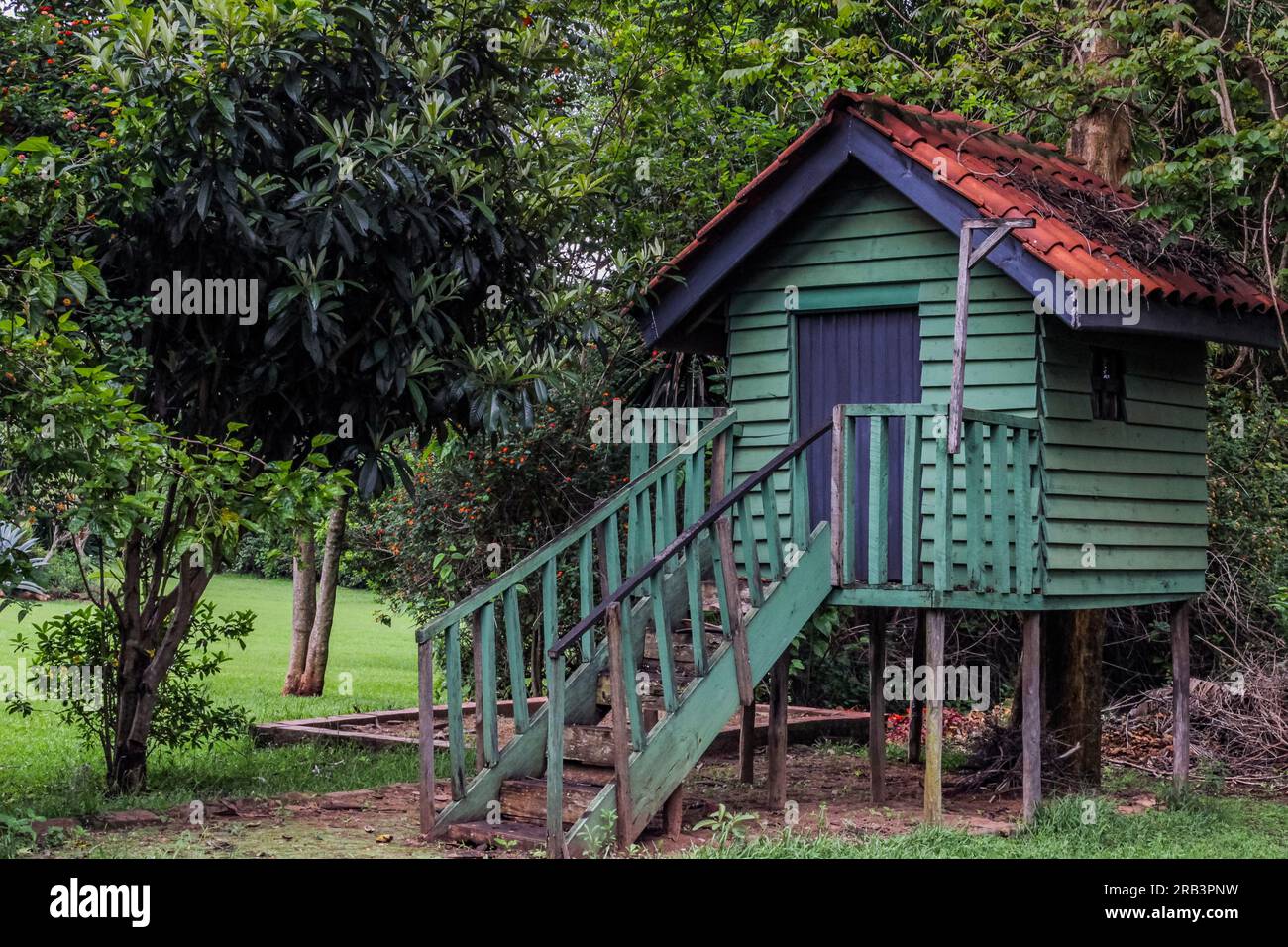 Small scale farm kenya hi-res stock photography and images - Alamy