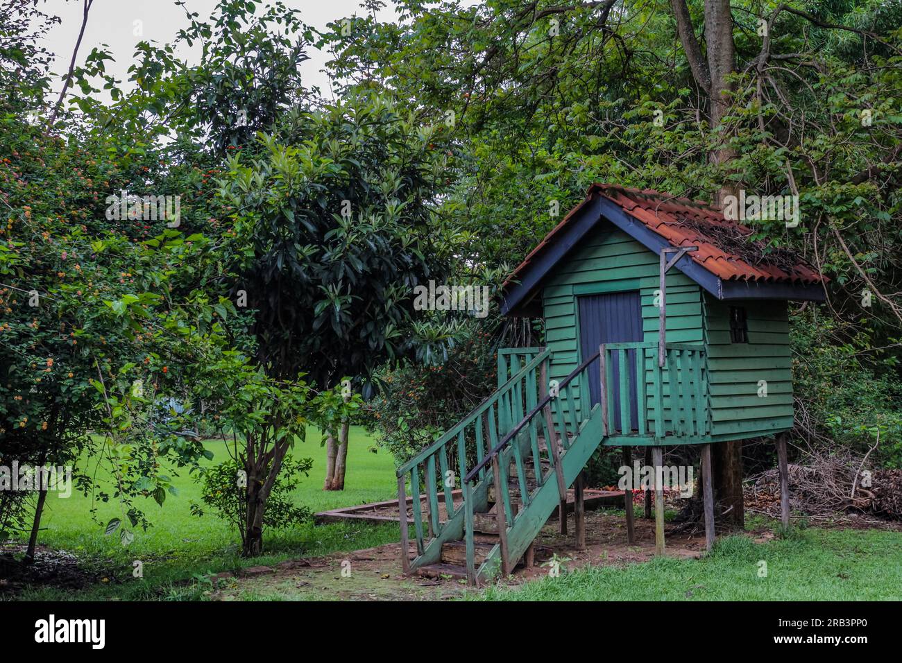 Tree House garden home farm in Kenya Stock Photo - Alamy