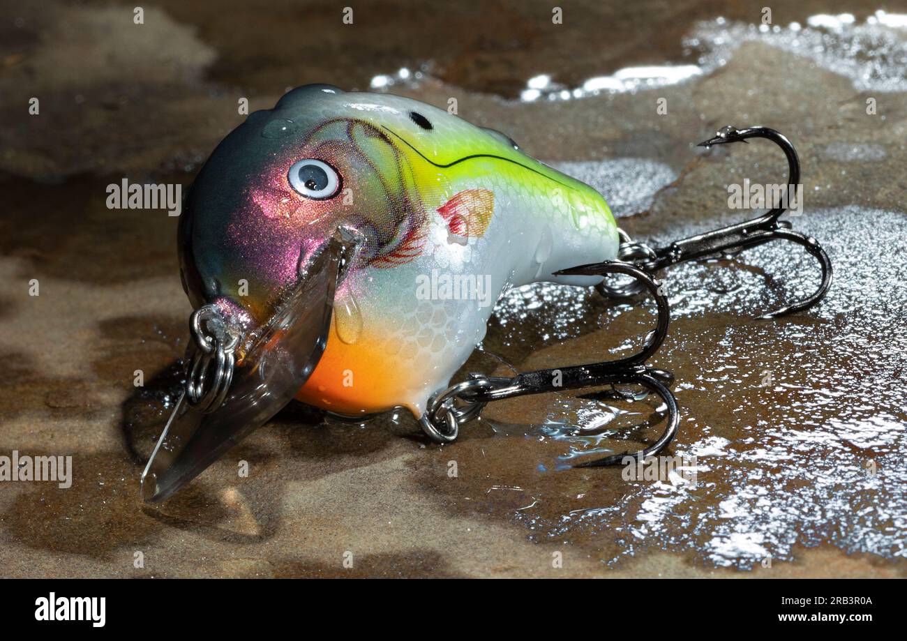 Double angler hi-res stock photography and images - Alamy