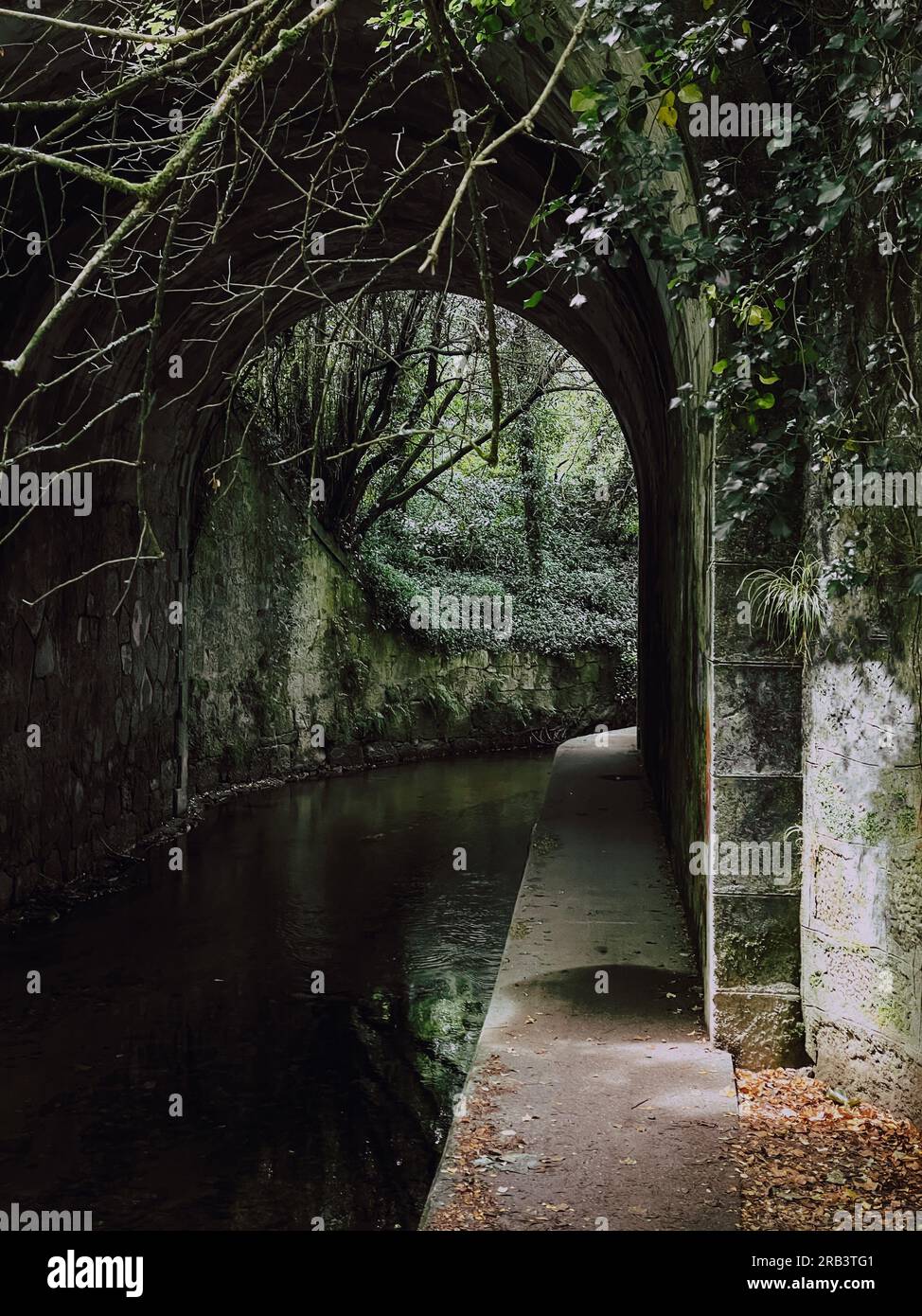 Stone arch tunnel with pathway near river on Camino de Santiago Stock ...