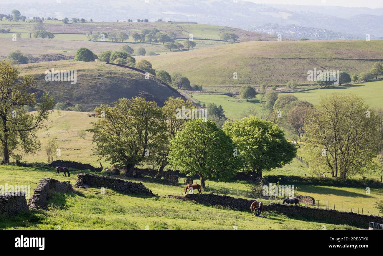 Deri south wales hi-res stock photography and images - Alamy