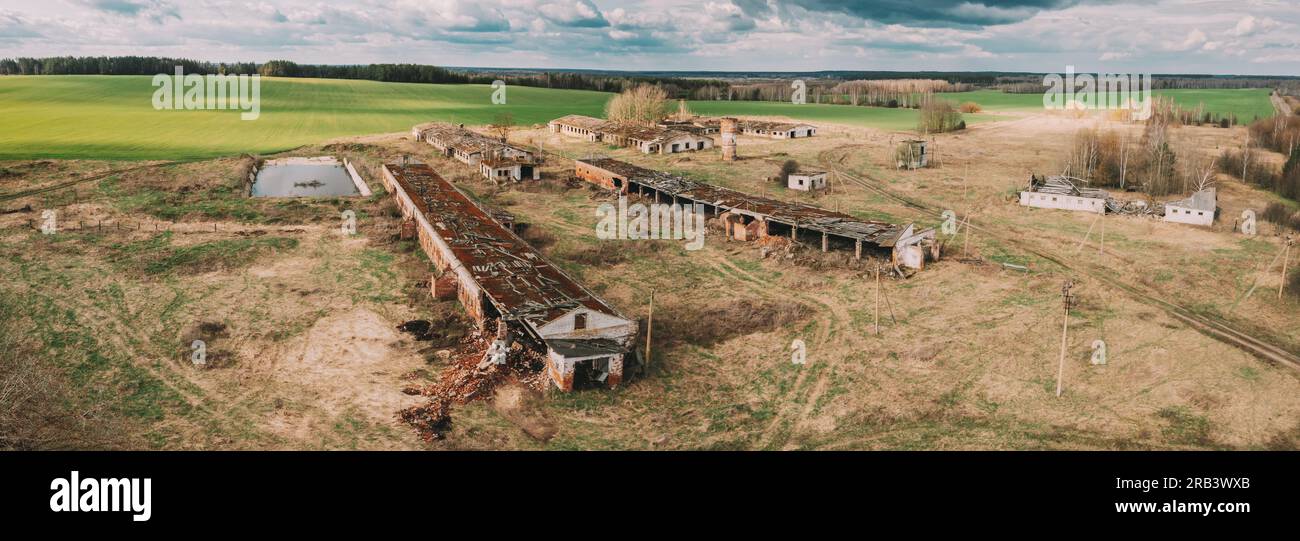 Belarus. Abandoned Barn, Shed, Cowsheds, Farm House In Chernobyl ...