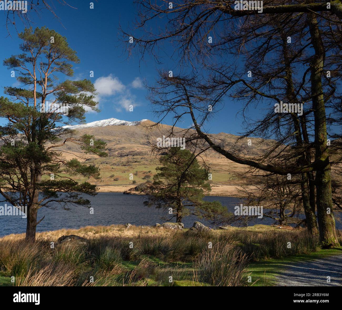 Springtime at Llyn y Gader, near Rhyd Ddu in Eryri (Snowdonia) National ...