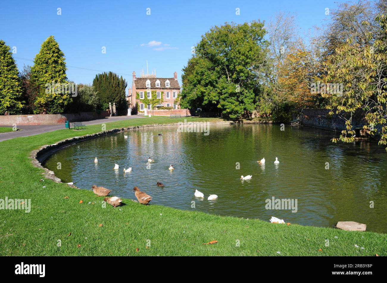 The village duck pond in Urchfont, Wiltshire Stock Photo - Alamy