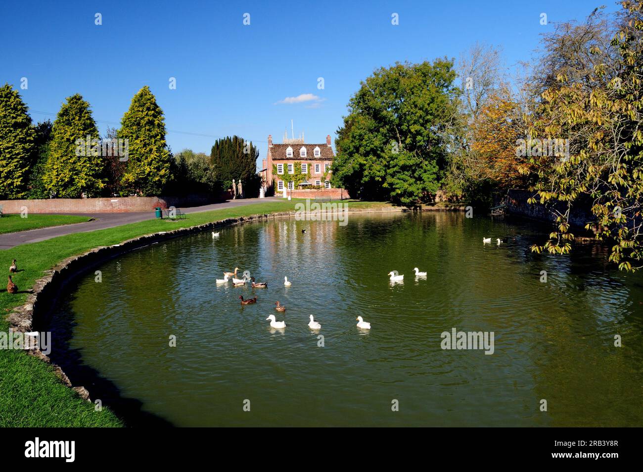 The village duck pond in Urchfont, Wiltshire Stock Photo - Alamy