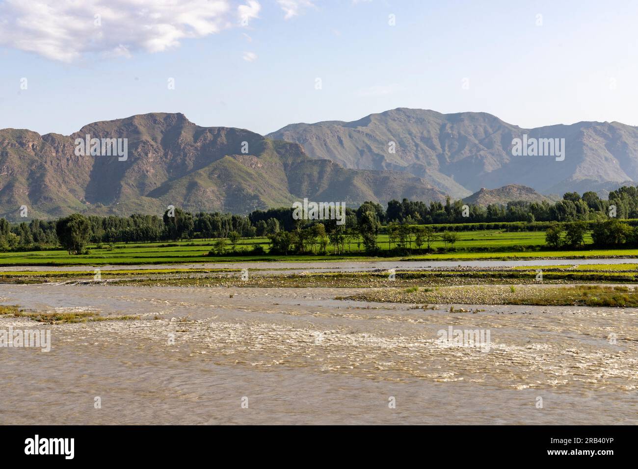 Beautiful scenery of rice fields and river swat, Pakistan Stock Photo ...