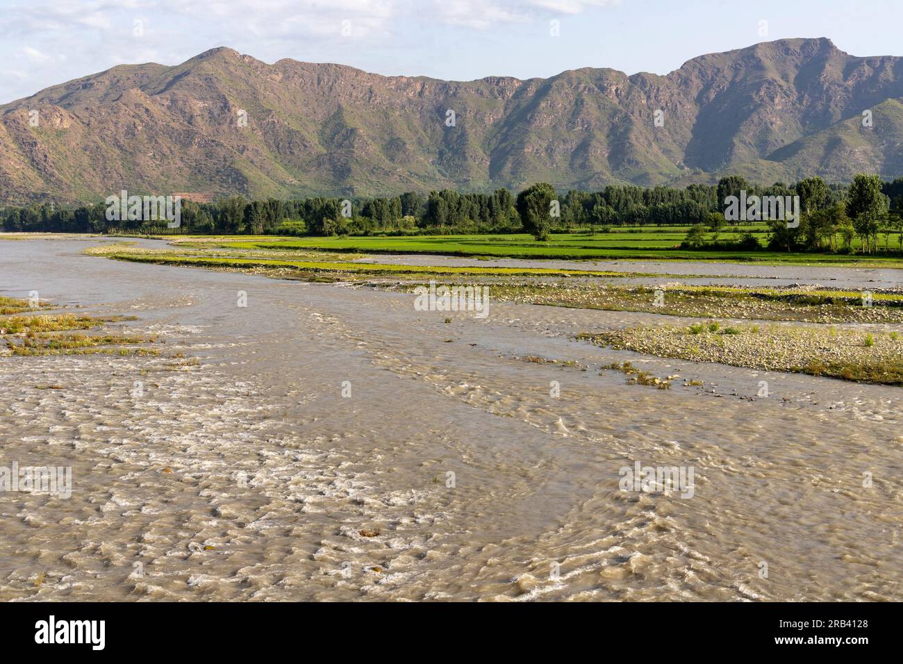 Muddy water in the river swat along a beautiful rice fields at the ...