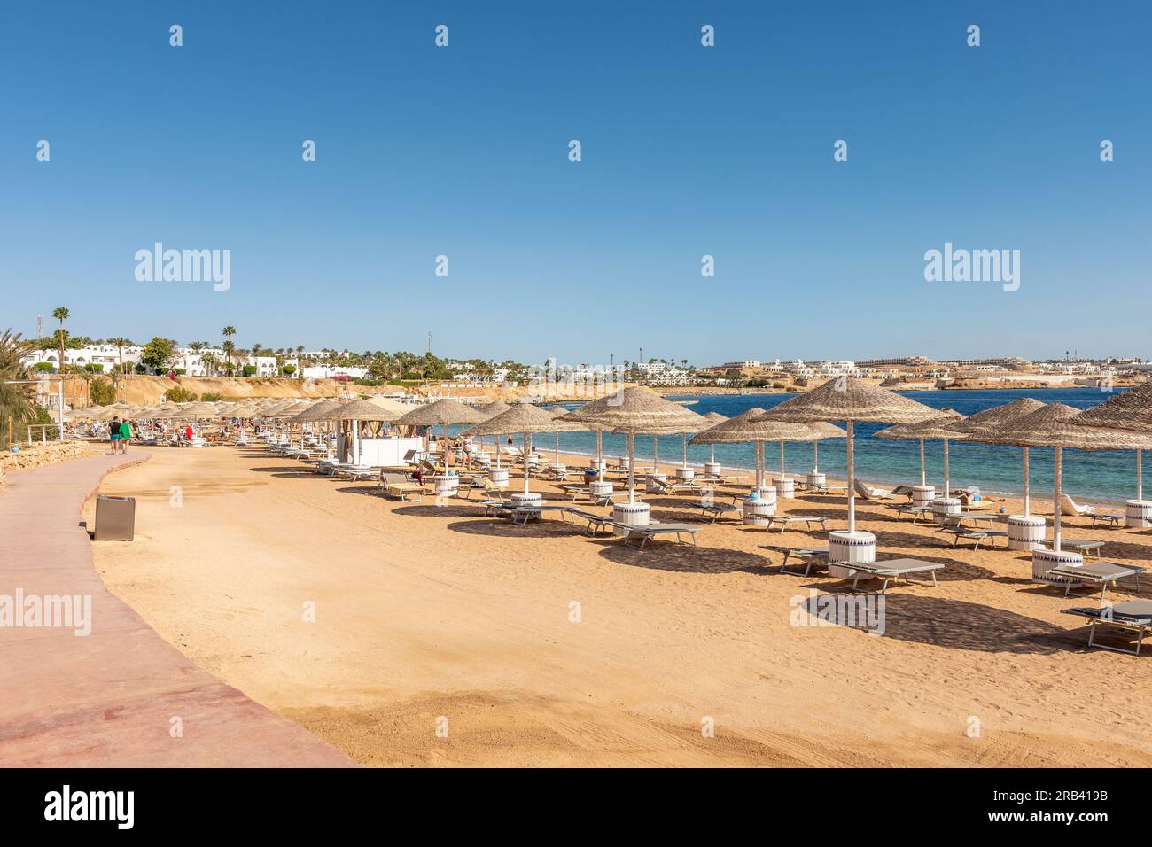 Sunny resort beach with palm tree at the coast shore of Red Sea in ...