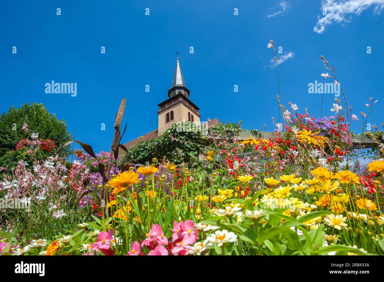 Tower of Catholic Church of Holy Trinity. In foreground planting of ...
