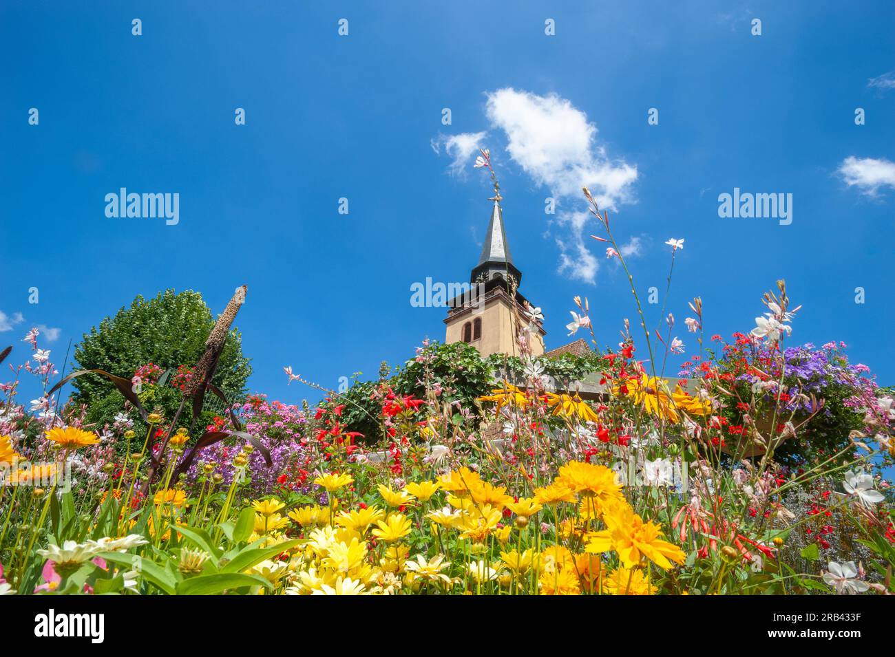 Tower of Catholic Church of Holy Trinity. In foreground planting of ...