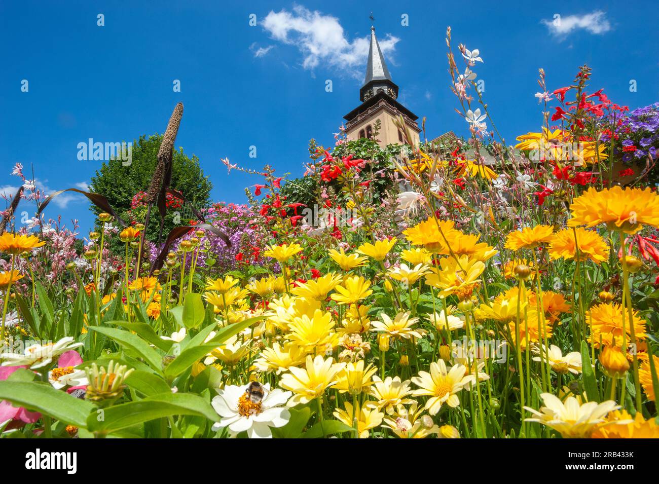 Tower of Catholic Church of Holy Trinity. In foreground planting of ...
